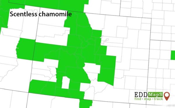 EDDMapS T-in – CWMA